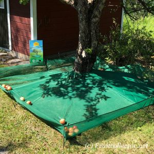 The Original Fruit Collector ® -harvesting net - Fruit Collector